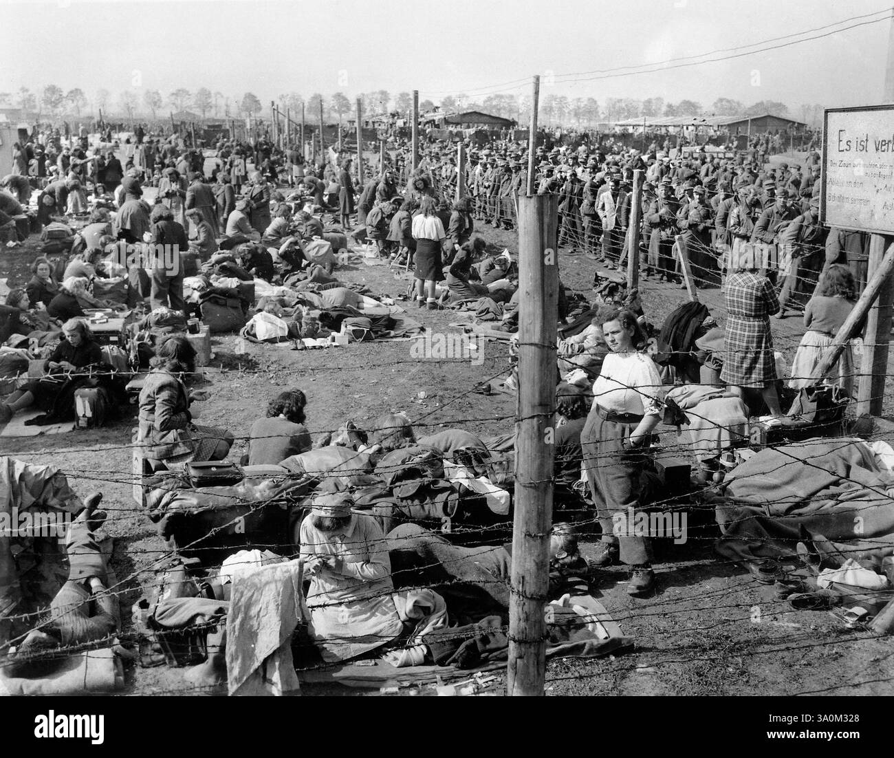 Female members of the Wehrmacht are among the inmates of the Third U.S ...