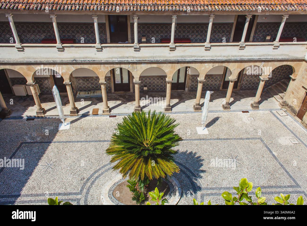 Courtyard with palm tree hi-res stock photography and images - Alamy