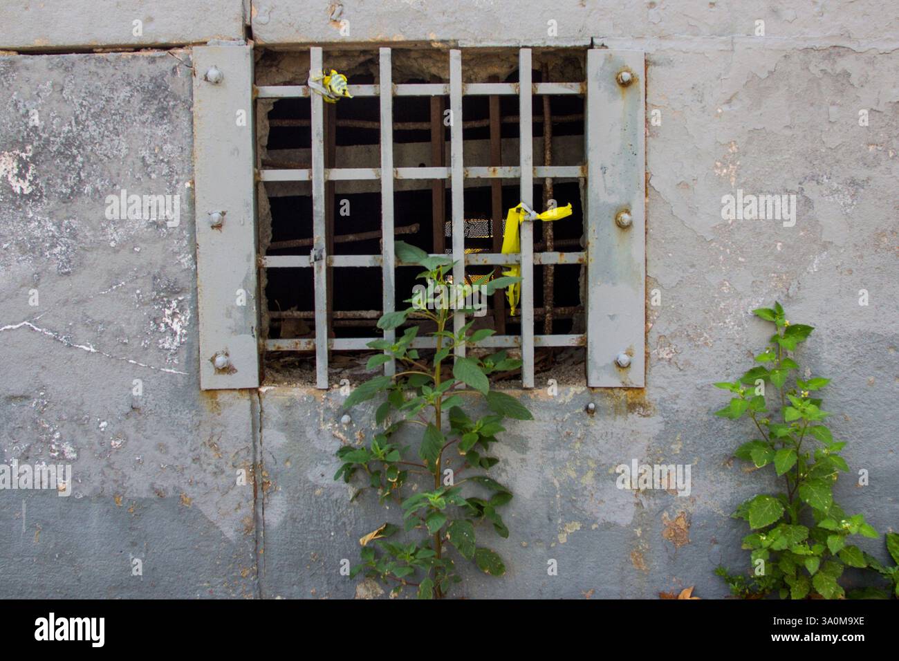 Hidden steel window at east river park's underpass by FDR drive Stock ...
