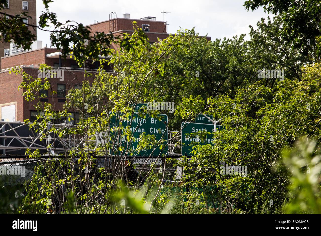 Singae at FDR Parkway in New York City hidden behind trees from East ...