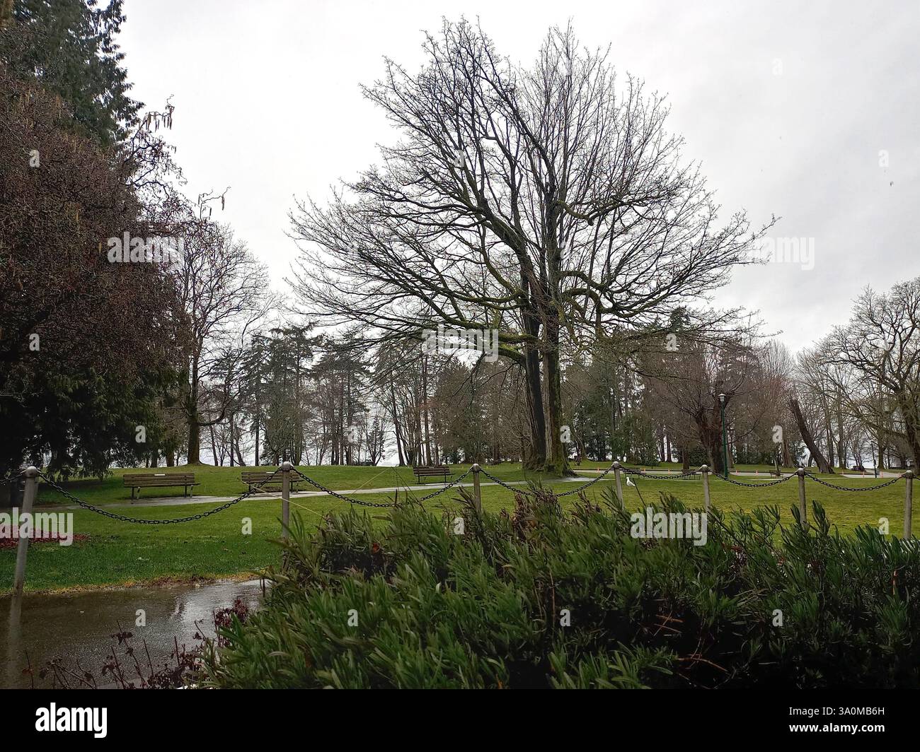 Stanley Park Vancouver's largest urban park with scenic views of water ...