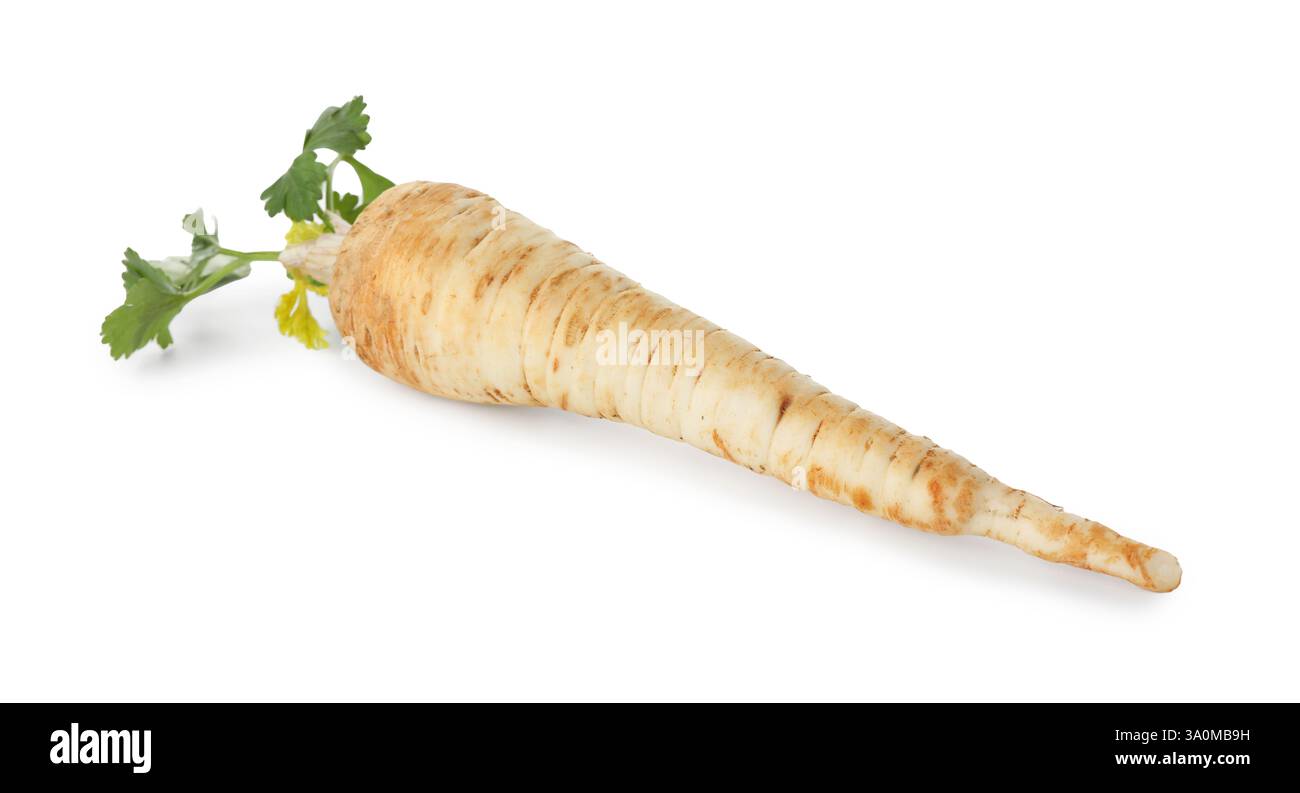 One fresh parsley root isolated on white Stock Photo - Alamy