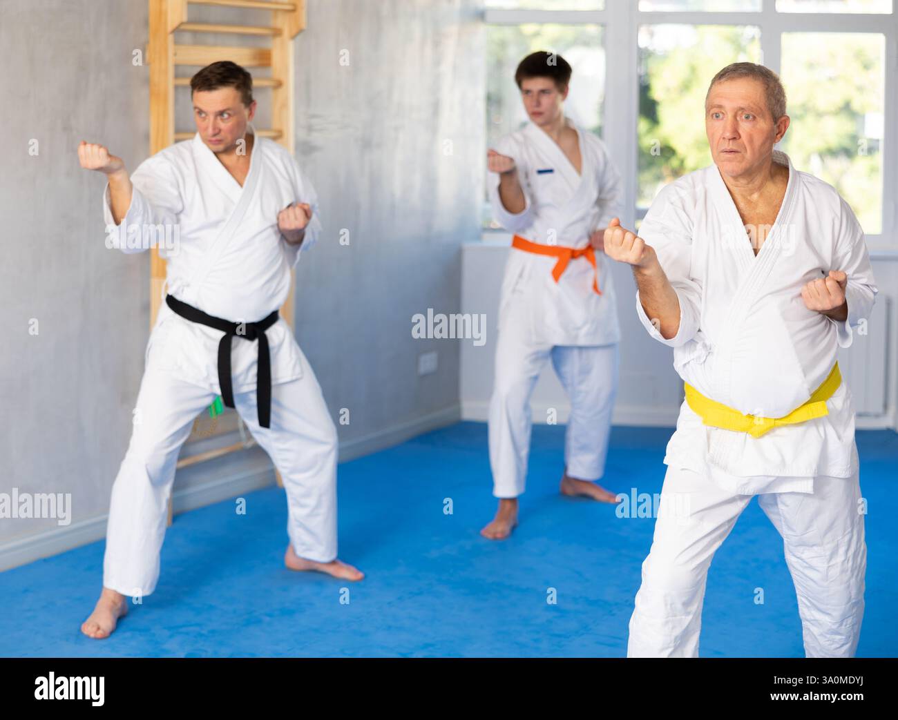 Elderly man performing kata routines at martial arts training with ...