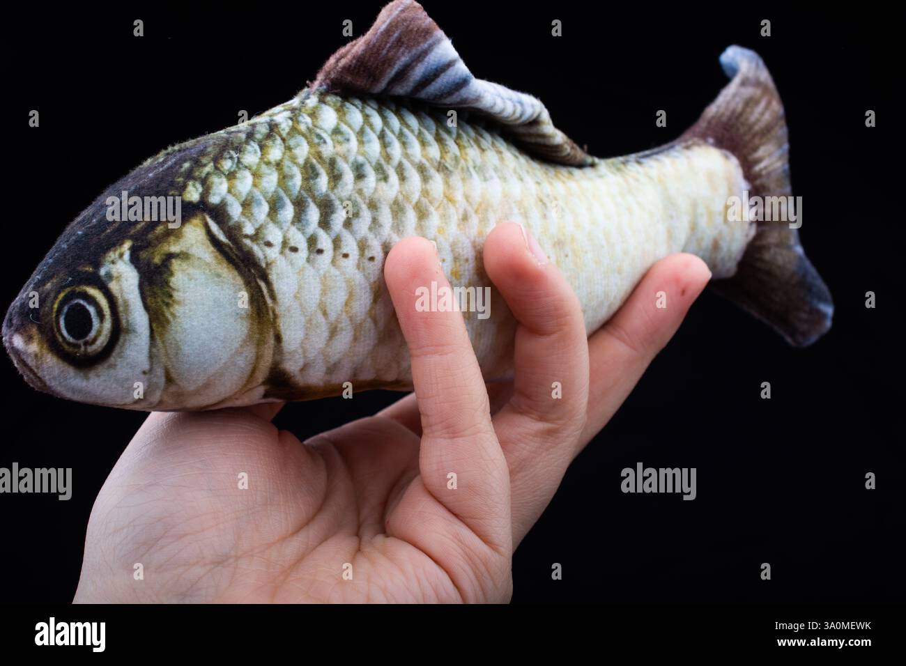Fake fish in hand on a black fabric background Stock Photo - Alamy