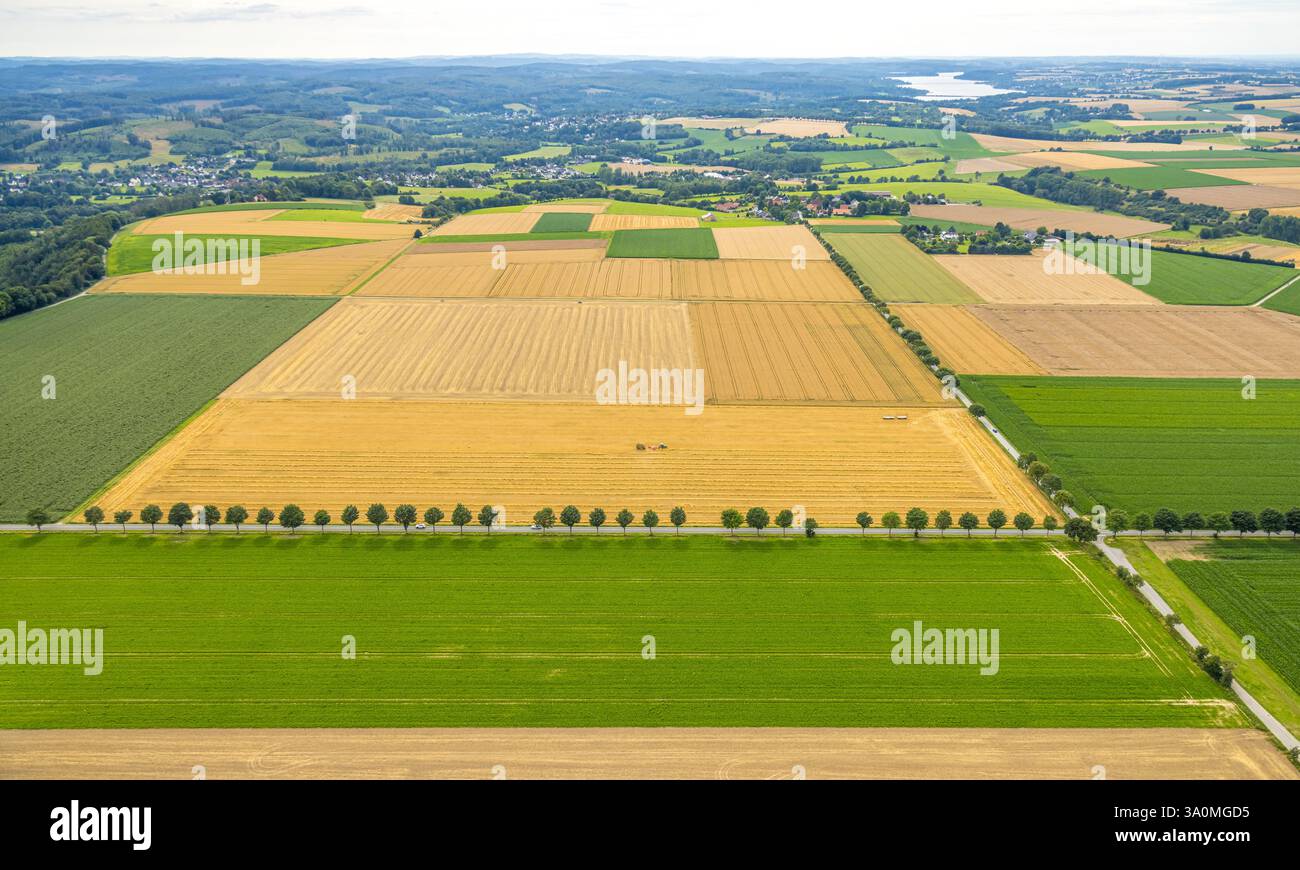 Aerial view, tree avenue at the Kalkofen industrial estate near ...