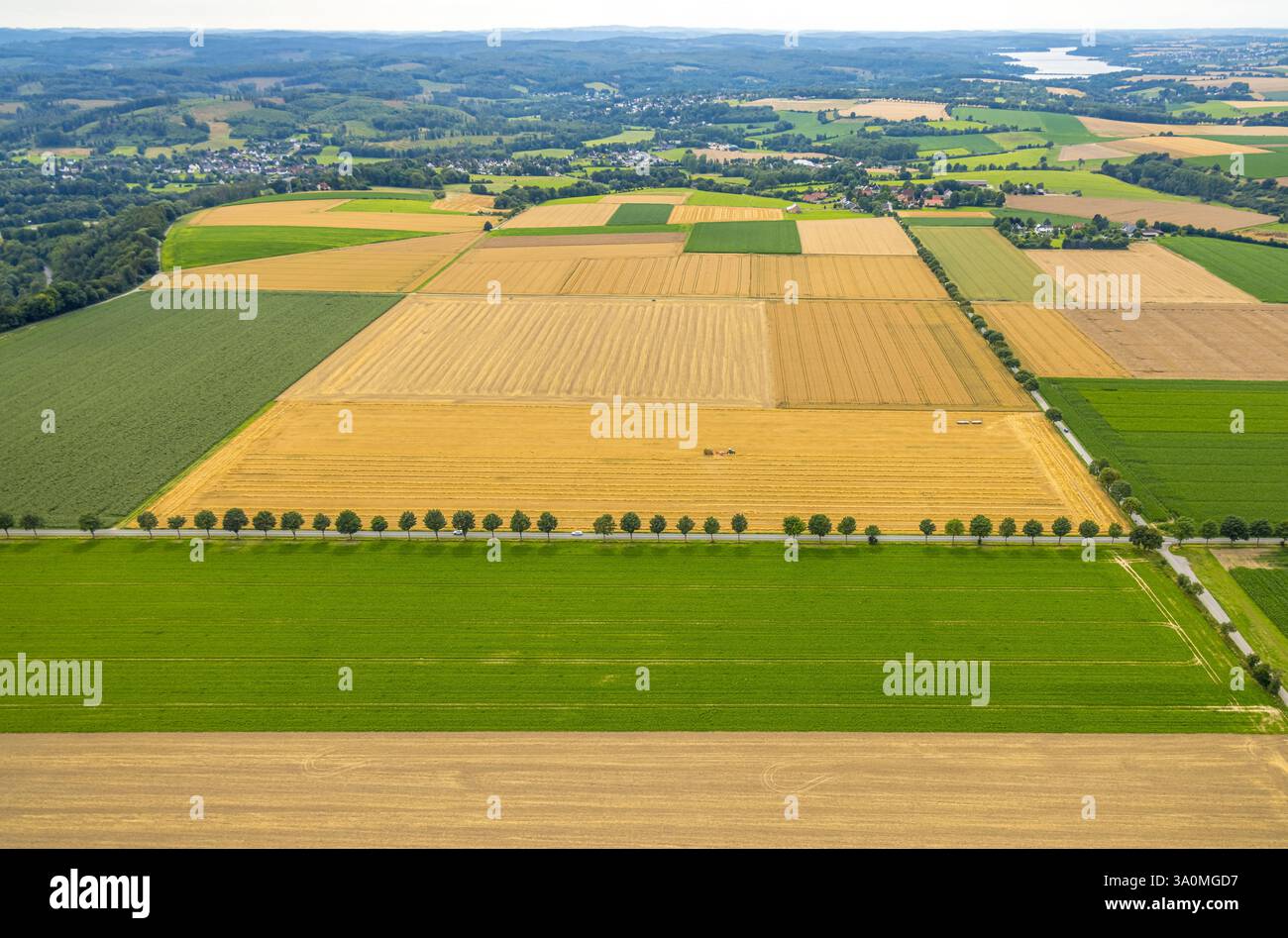 Aerial view, tree avenue at the Kalkofen industrial estate near ...