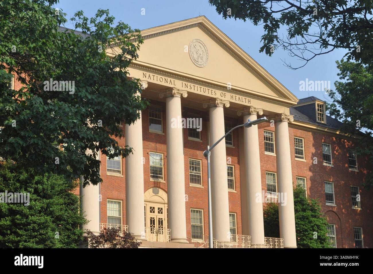 This photo provided by the National Institutes of Health shows the ...