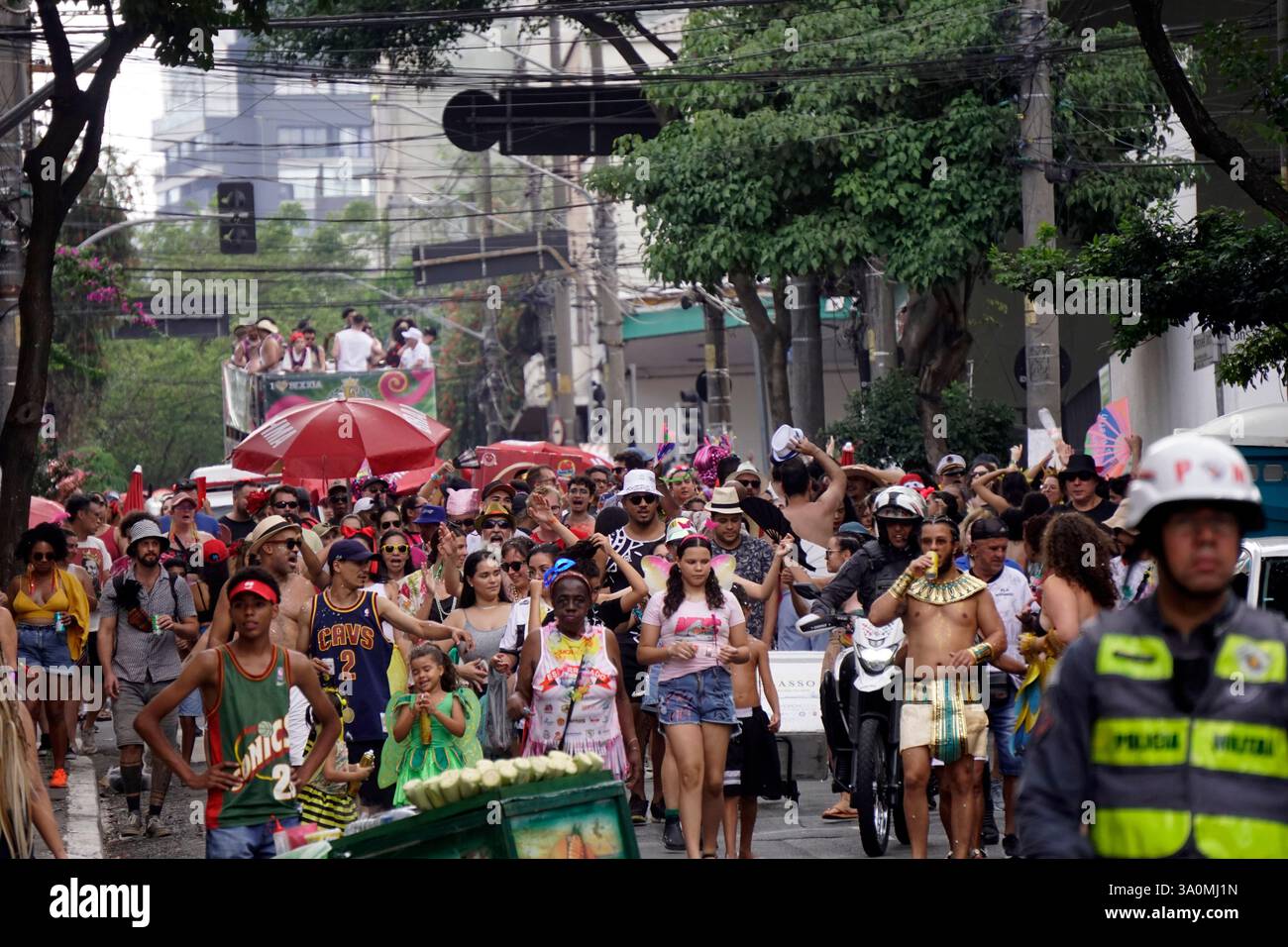 Revelers have fun at the carnival street party in Sao Paulo, Brazil, on ...
