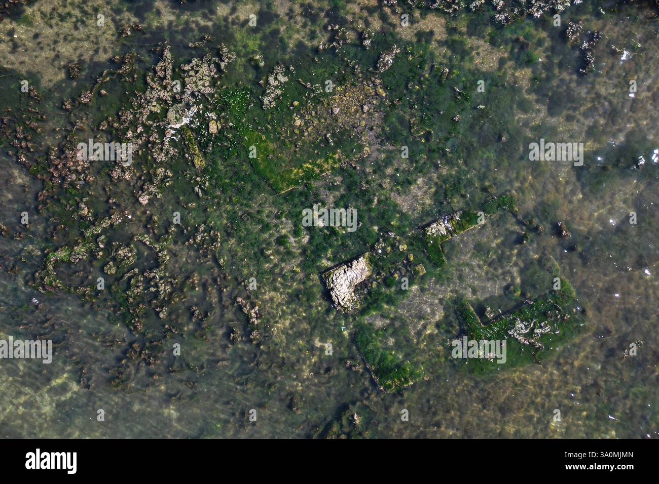 Wall structures from the Roman period resurface in Lake Fusaro, Campi ...