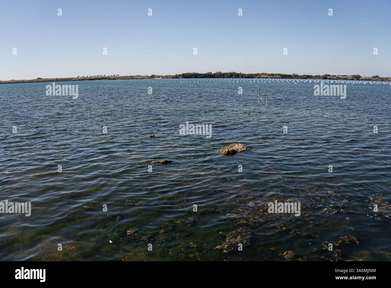 Bacoli, Italy. 04th Mar, 2025. Wall structures from the Roman period ...