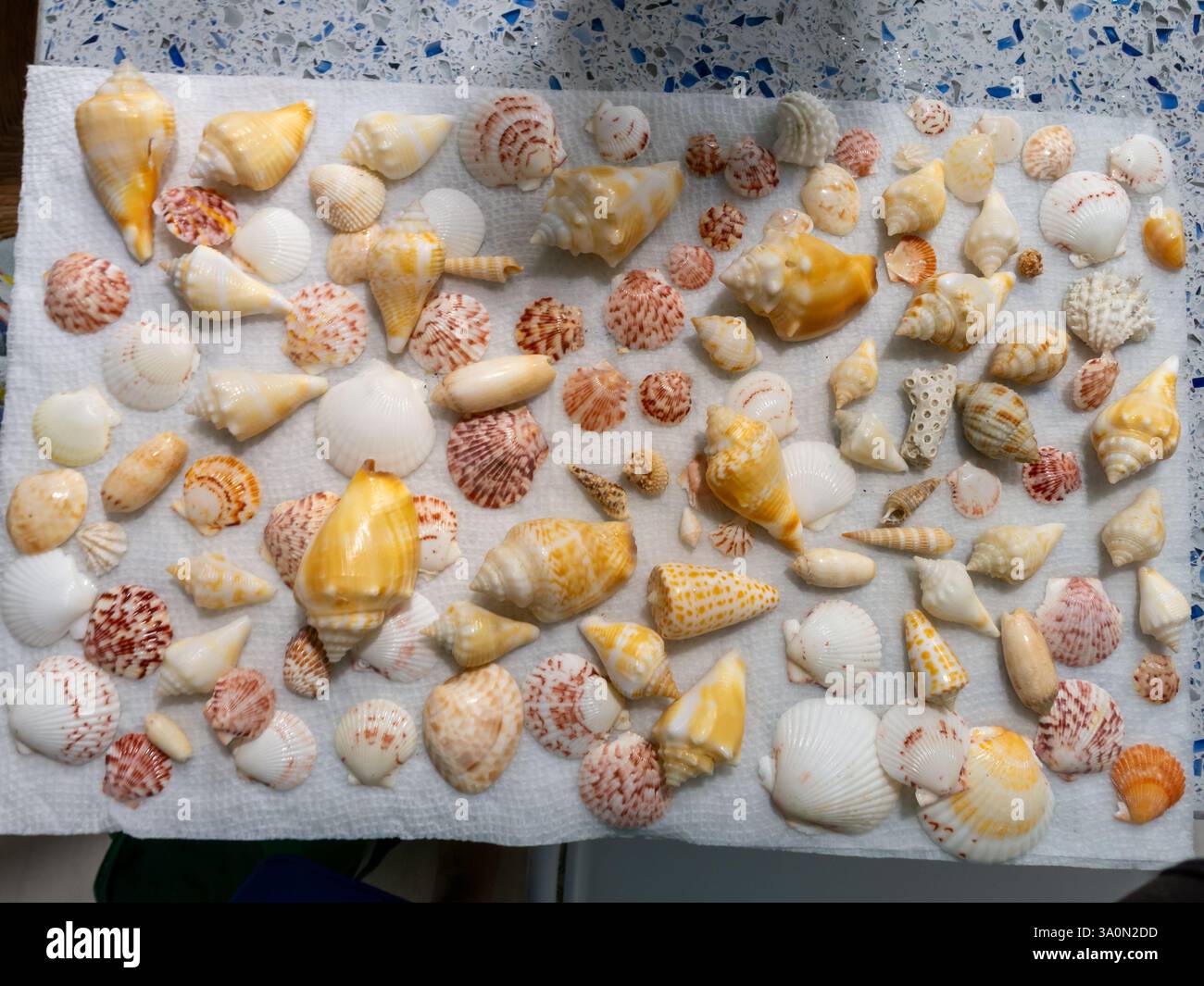 Washed up treasures hi-res stock photography and images - Alamy