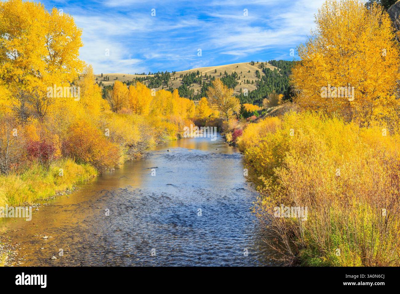 fall colors along the little blackfoot river near avon, montana Stock ...