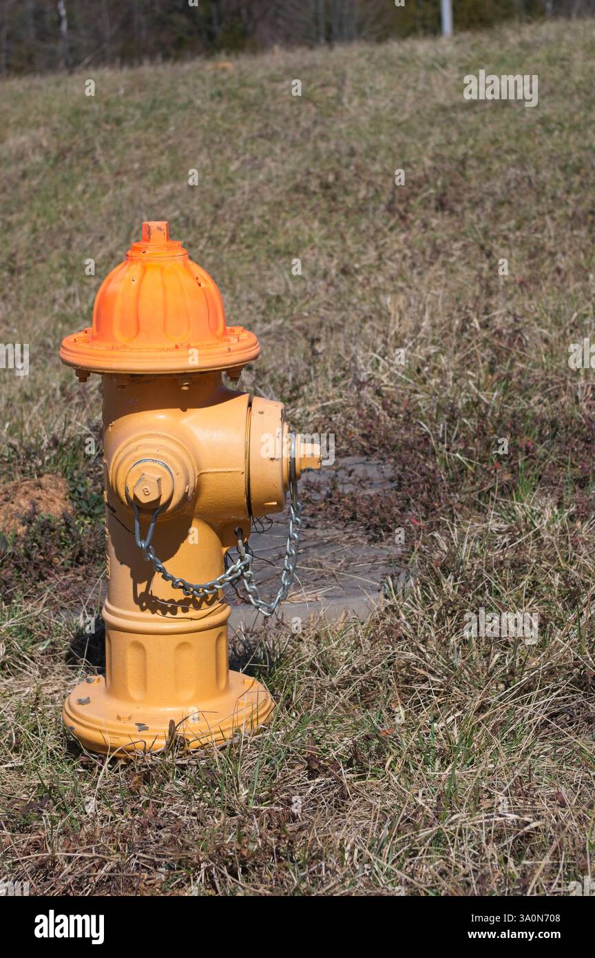 Yellow and orange fire hydrant in a grassy field Stock Photo - Alamy