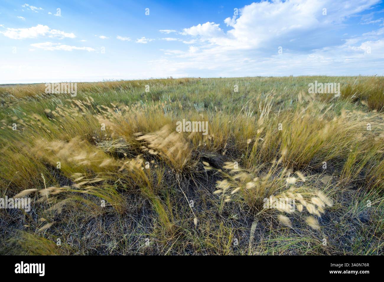 Grasslands National Park on a windy day. Saskatchewan Canada Stock ...