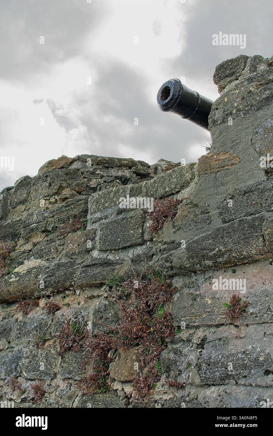 Cannon protruding over coquina masonry walls of Fort Matanzas under ...