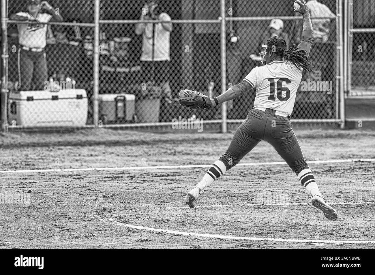 A Fast Pitch Softball Pitcher Is In Full Wind Up Pitching The Ball To ...