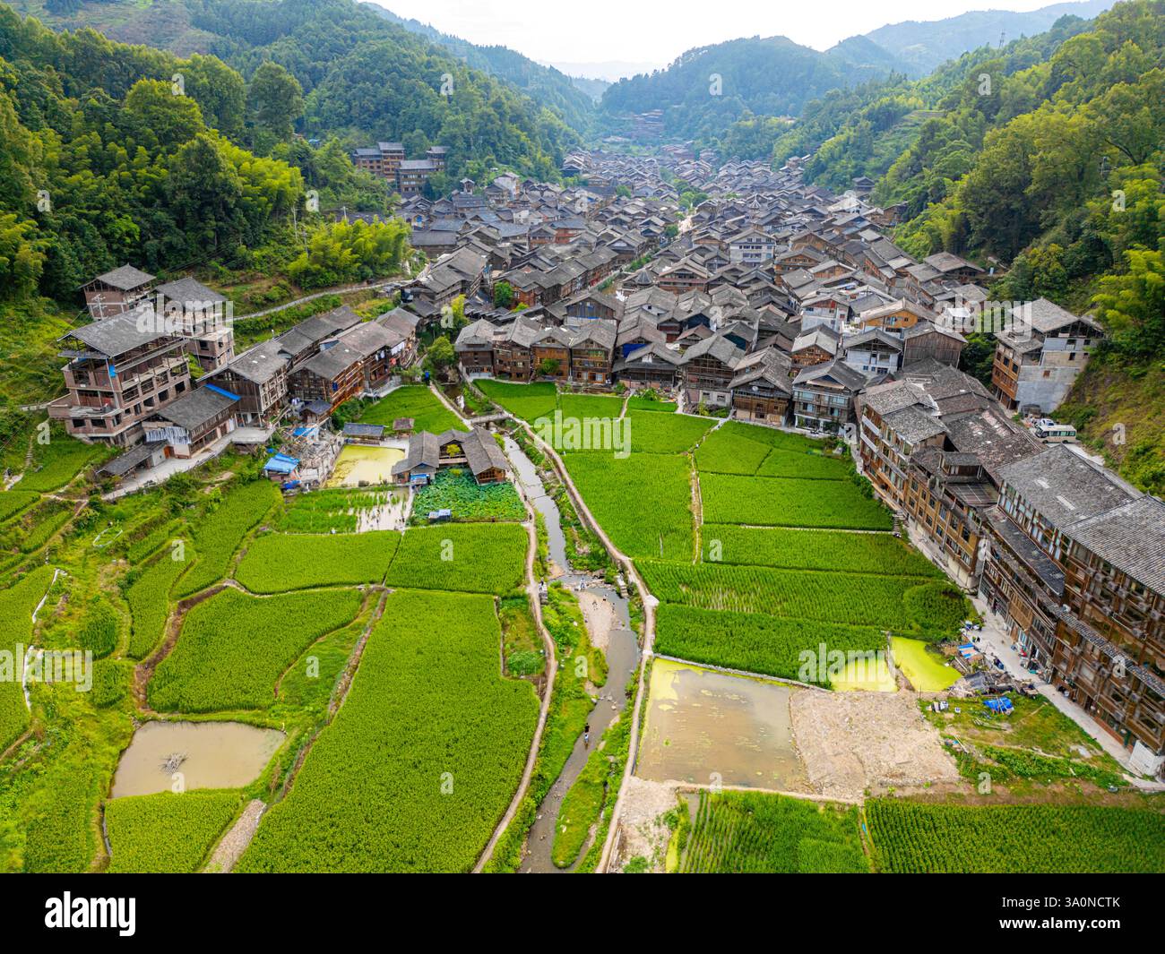 Aerial view of a paddy fields and the Zhaoxing Dong Village in Liping ...