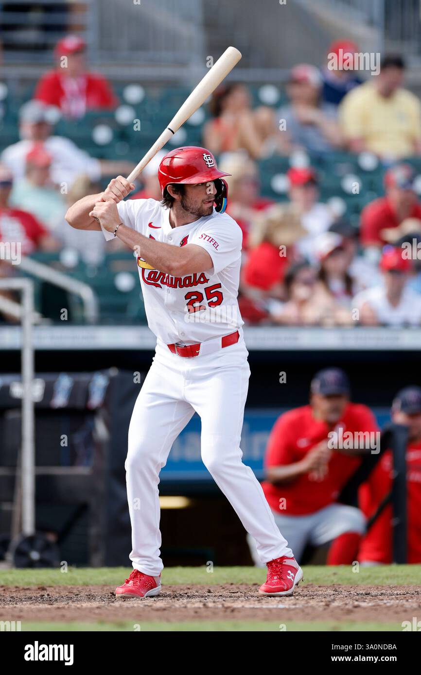 JUPITER, FL - MARCH 01: St. Louis Cardinals second baseman Thomas ...