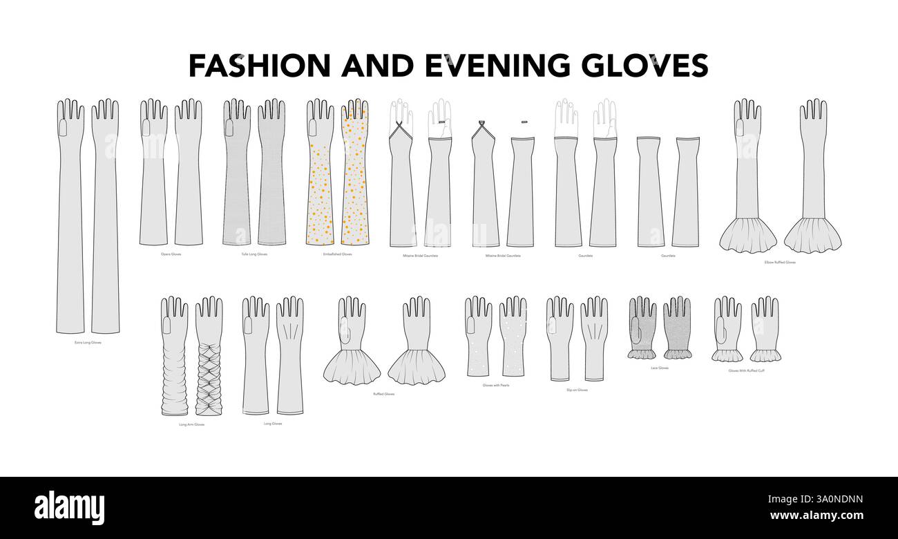 Set of Gloves - Fashion and Evening with names hand accessory clothing ...