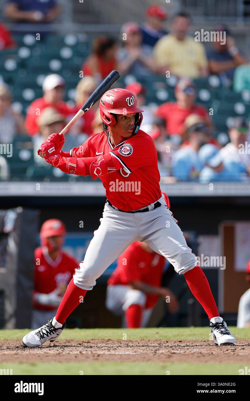 JUPITER, FL - MARCH 01: Washington Nationals designated hitter Jorgelys ...