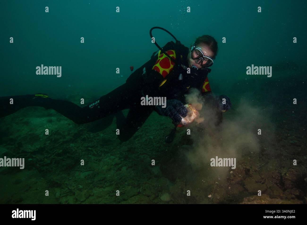 Alexandra Dudukalova collects an aluminum can off the coast of Hon Mot ...