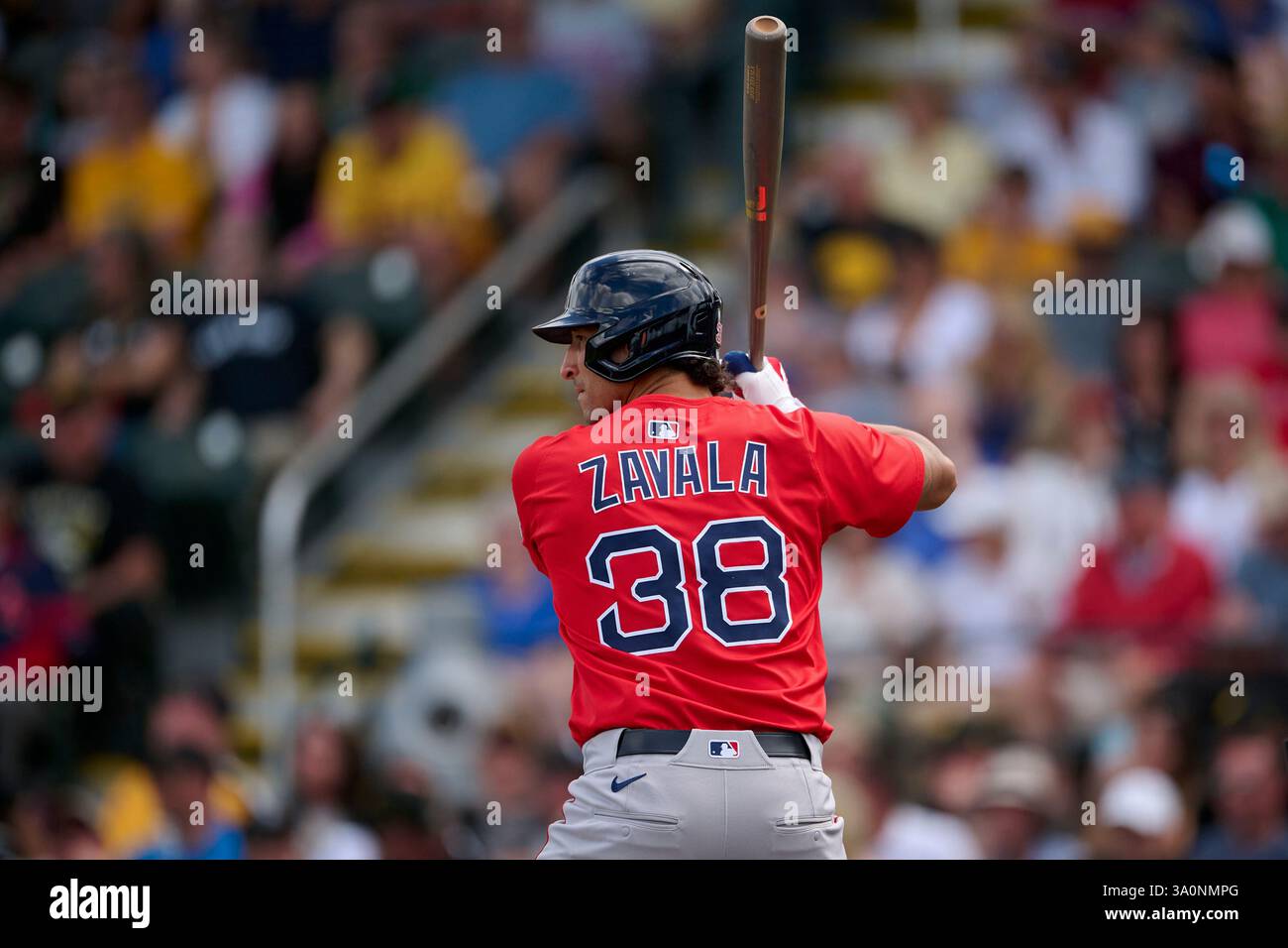 Boston Red Sox Seby Zavala (38) at bat during an MLB Spring Training ...