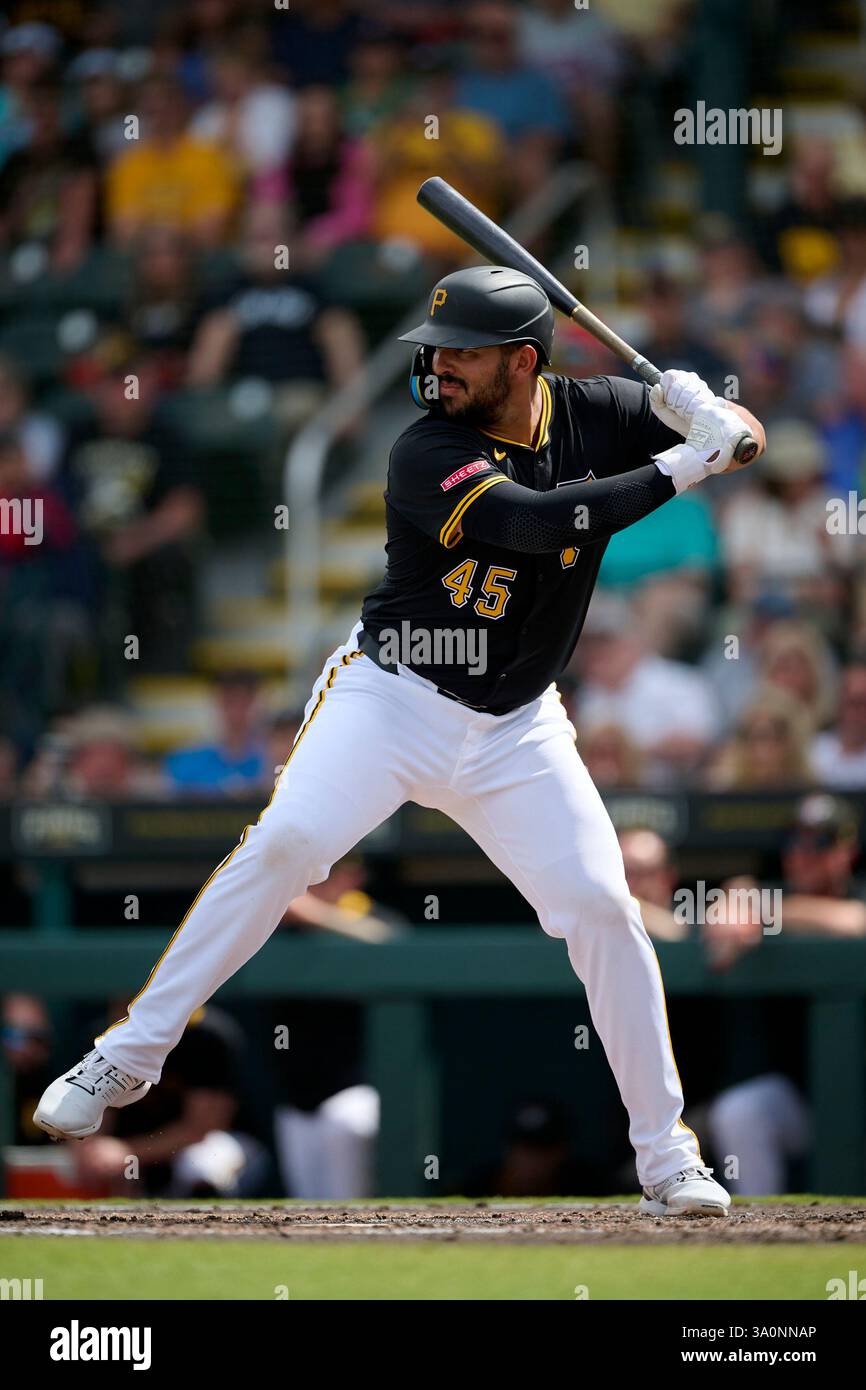 Pittsburgh Pirates Darick Hall (45) at bat during an MLB Spring ...