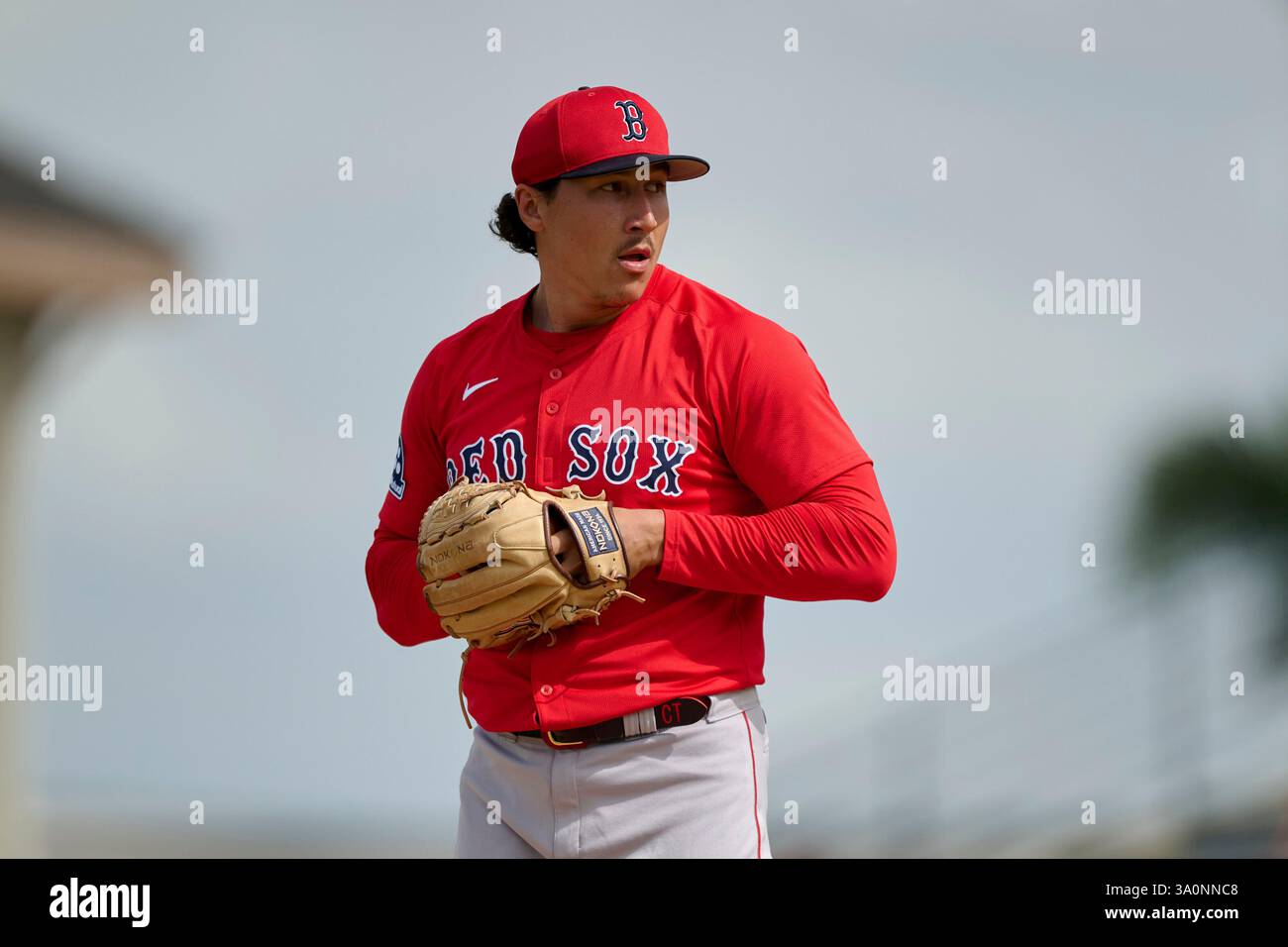 Boston Red Sox pitcher Christopher Troye (86) during an MLB Spring ...
