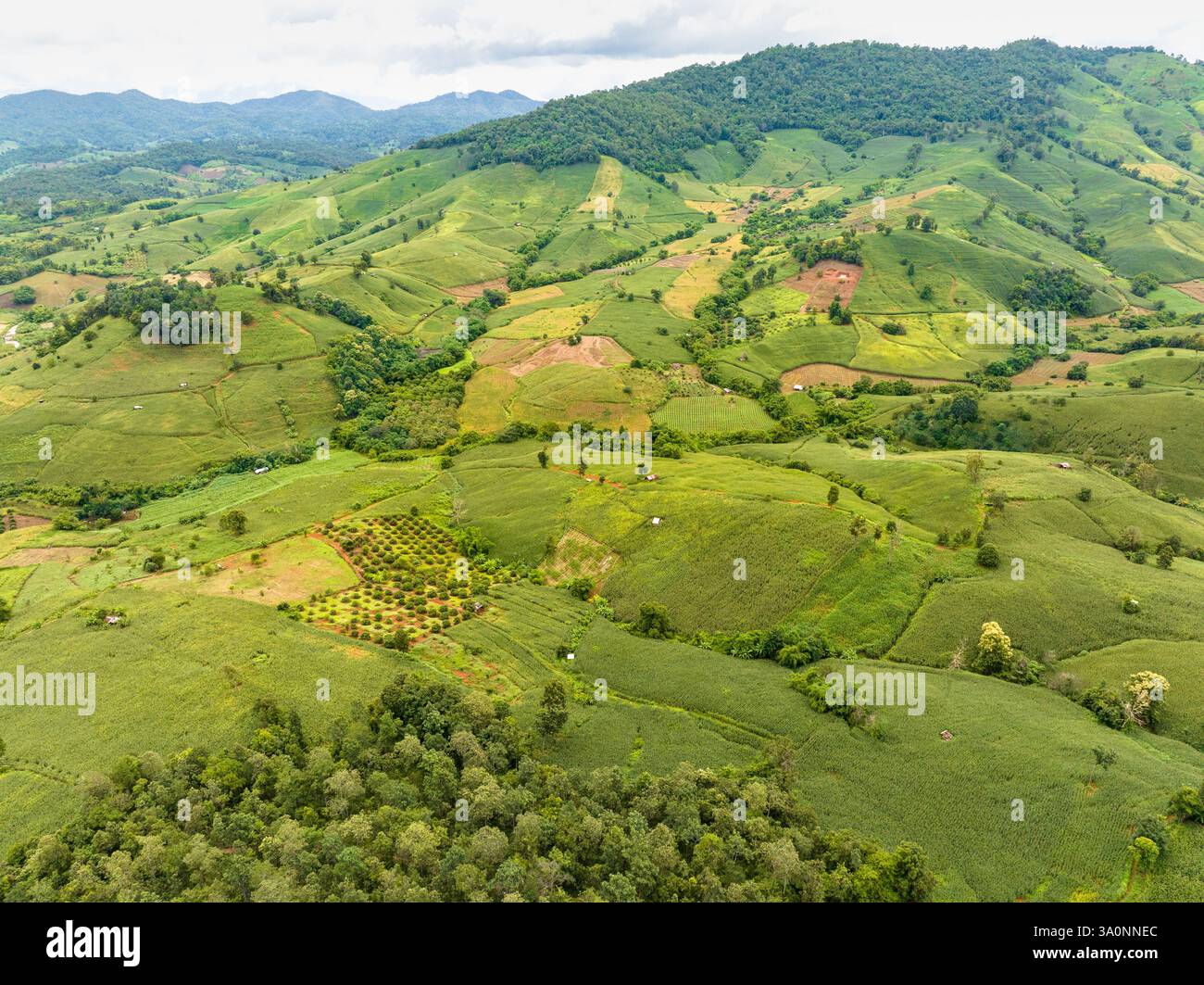 The biggest cause of forest loss is agricultural deforestation ...