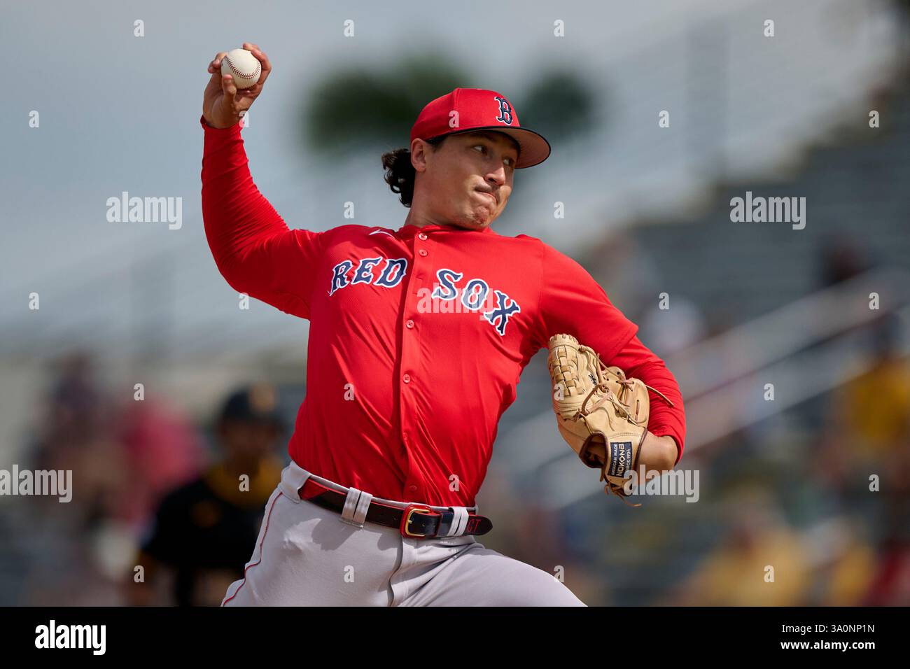 Boston Red Sox pitcher Christopher Troye (86) during an MLB Spring ...