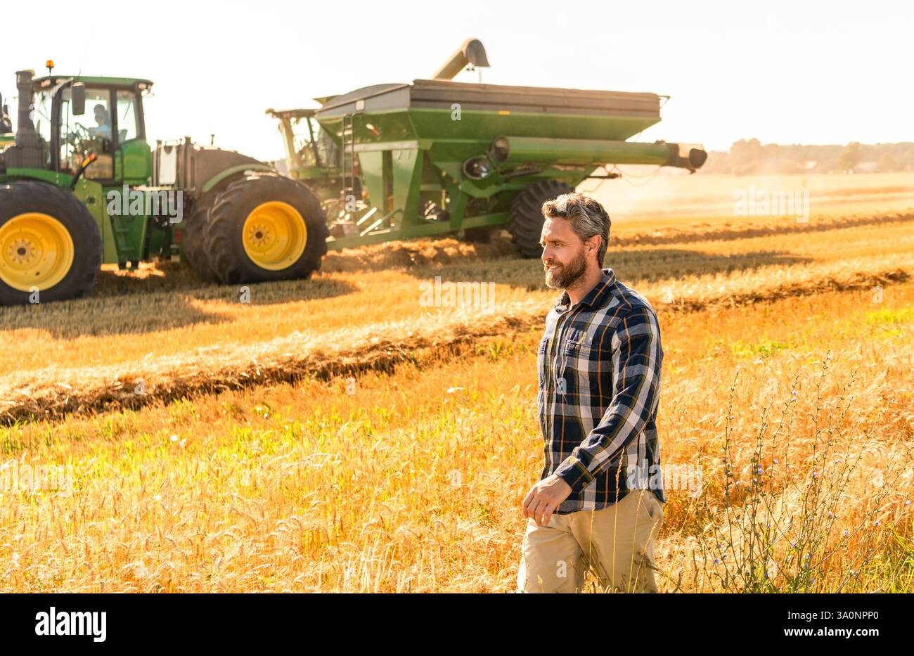 Crop harvest and farming. Farmer in field. Hispanic man farmer check ...