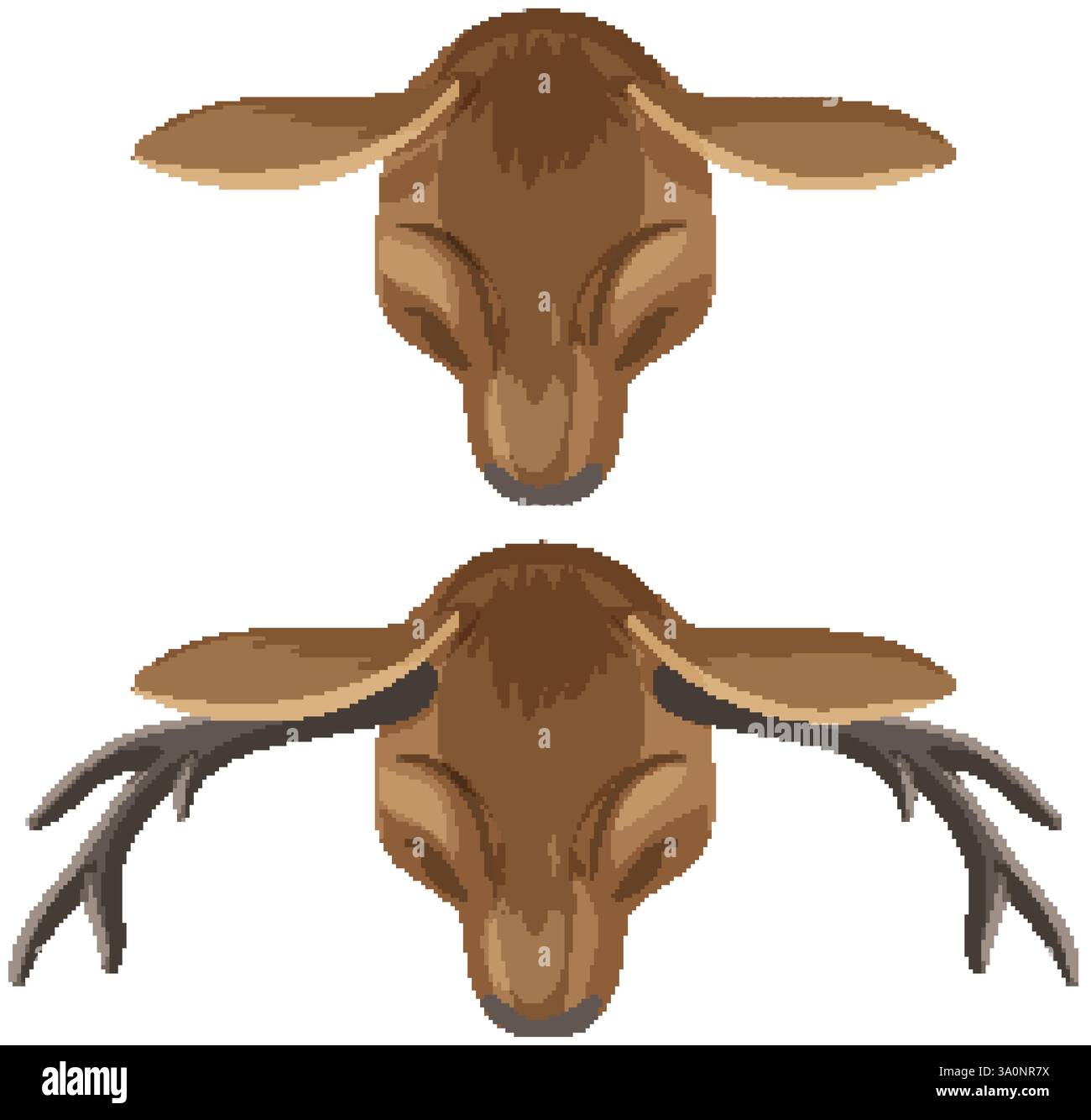 From above two Stock Vector Images - Alamy