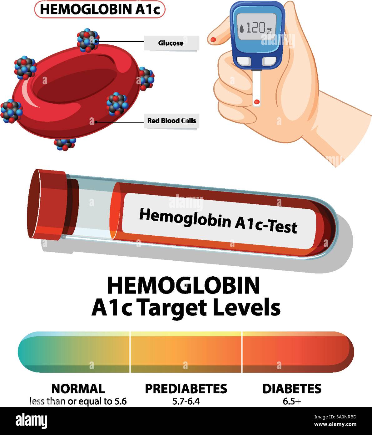 Illustration of Hemoglobin A1c test and glucose levels Stock Vector ...