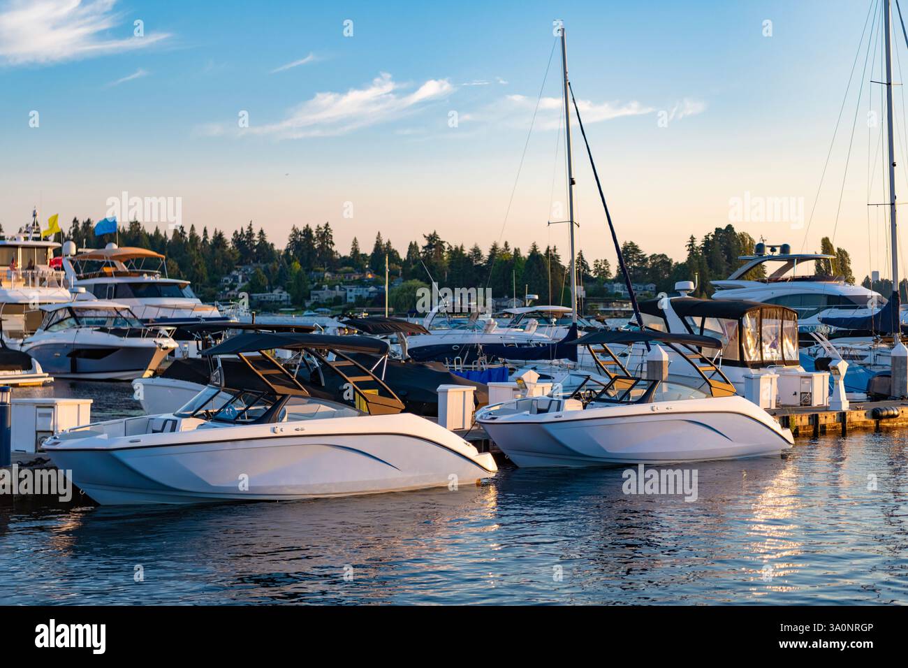 Yacht club and marina in Miami. Luxury marina with private yacht boat ...
