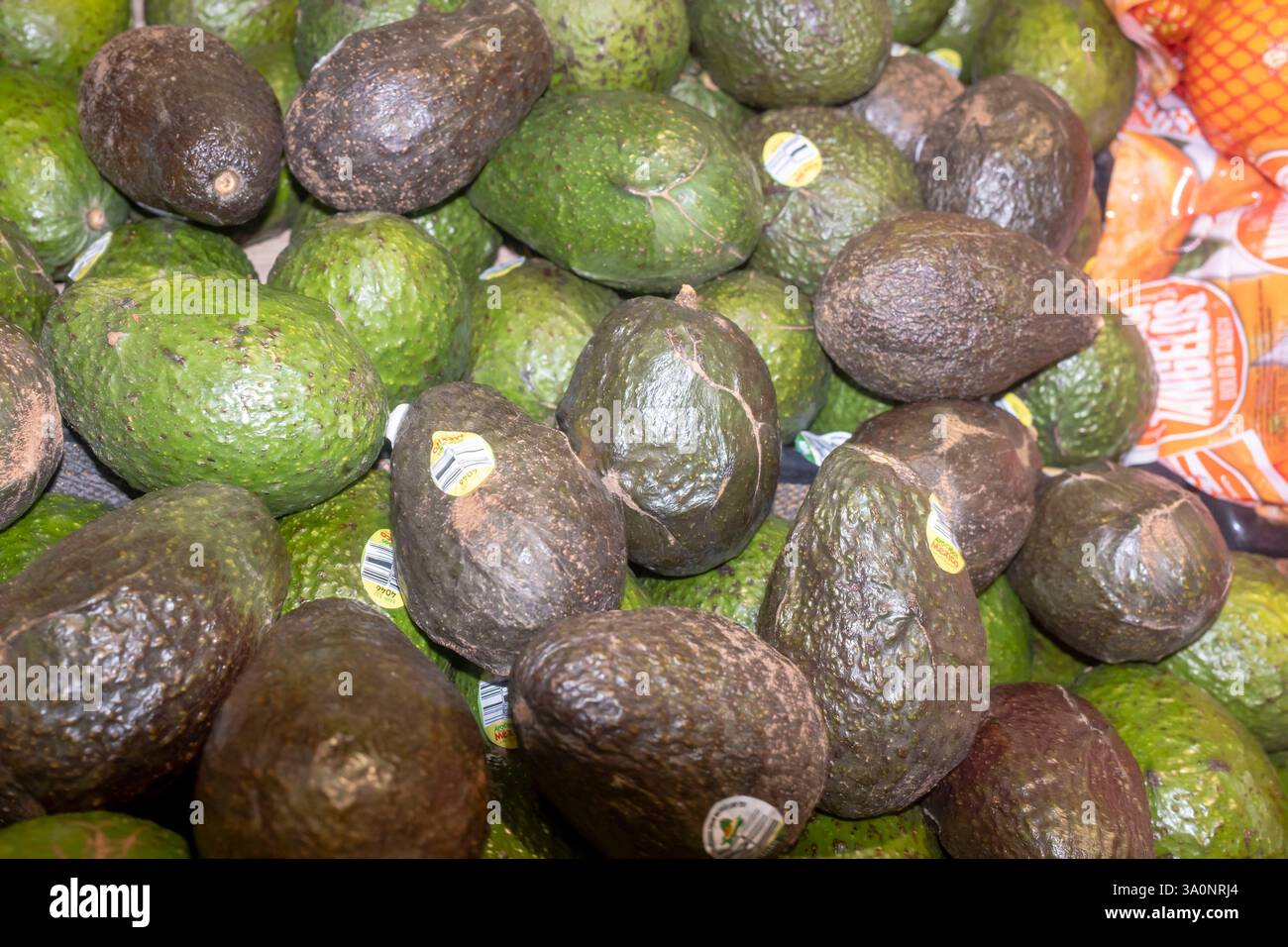 New York, United States. 04th Mar, 2025. NEW YORK, NEW YORK - MARCH 04 ...