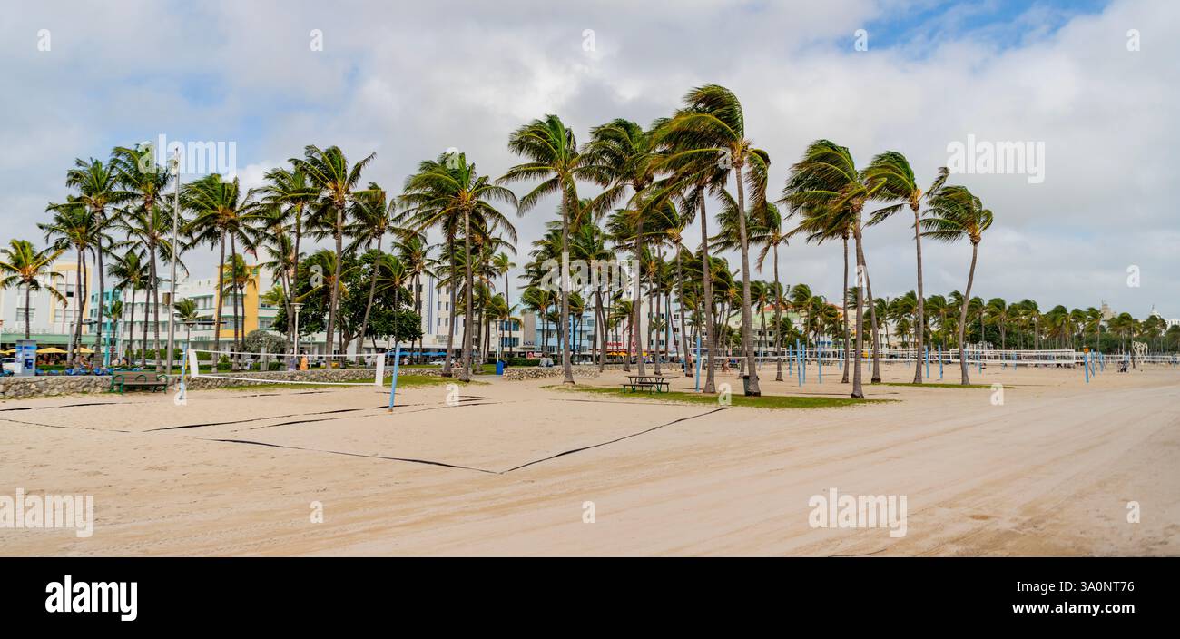 Tropical summer vacation. Exotic nature. Palm tree. Summer vacation in ...