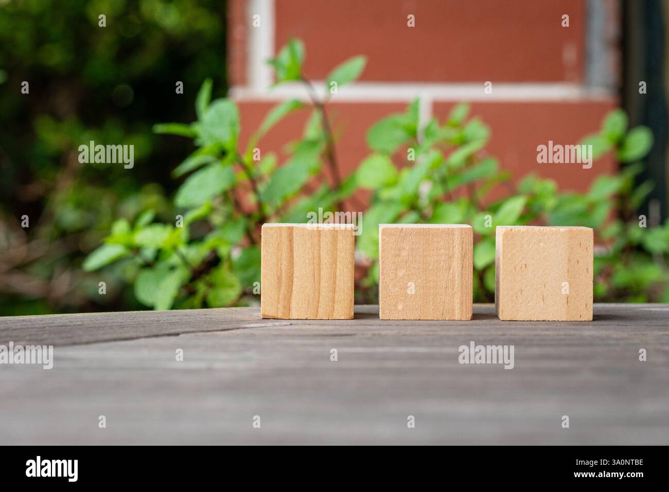 Three blank wooden toy blocks on rustic table with green plants ...
