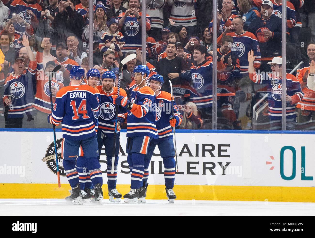 Edmonton Oilers players celebrate a goal against the Anaheim Ducks ...