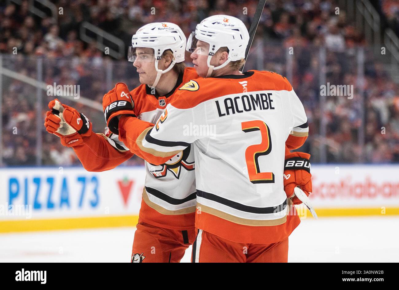 Anaheim Ducks' Leo Carlsson (left) and Jackson LaCombe (2) celebrate a ...
