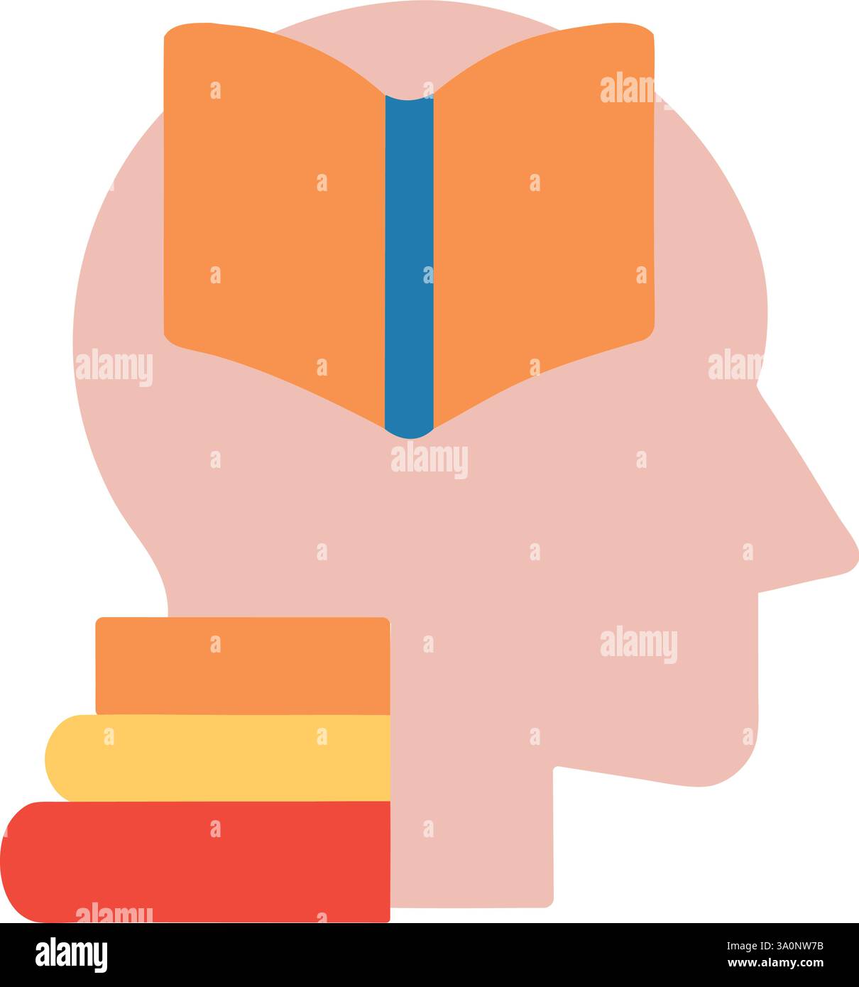 Absorbing knowledge Stock Vector Images - Alamy