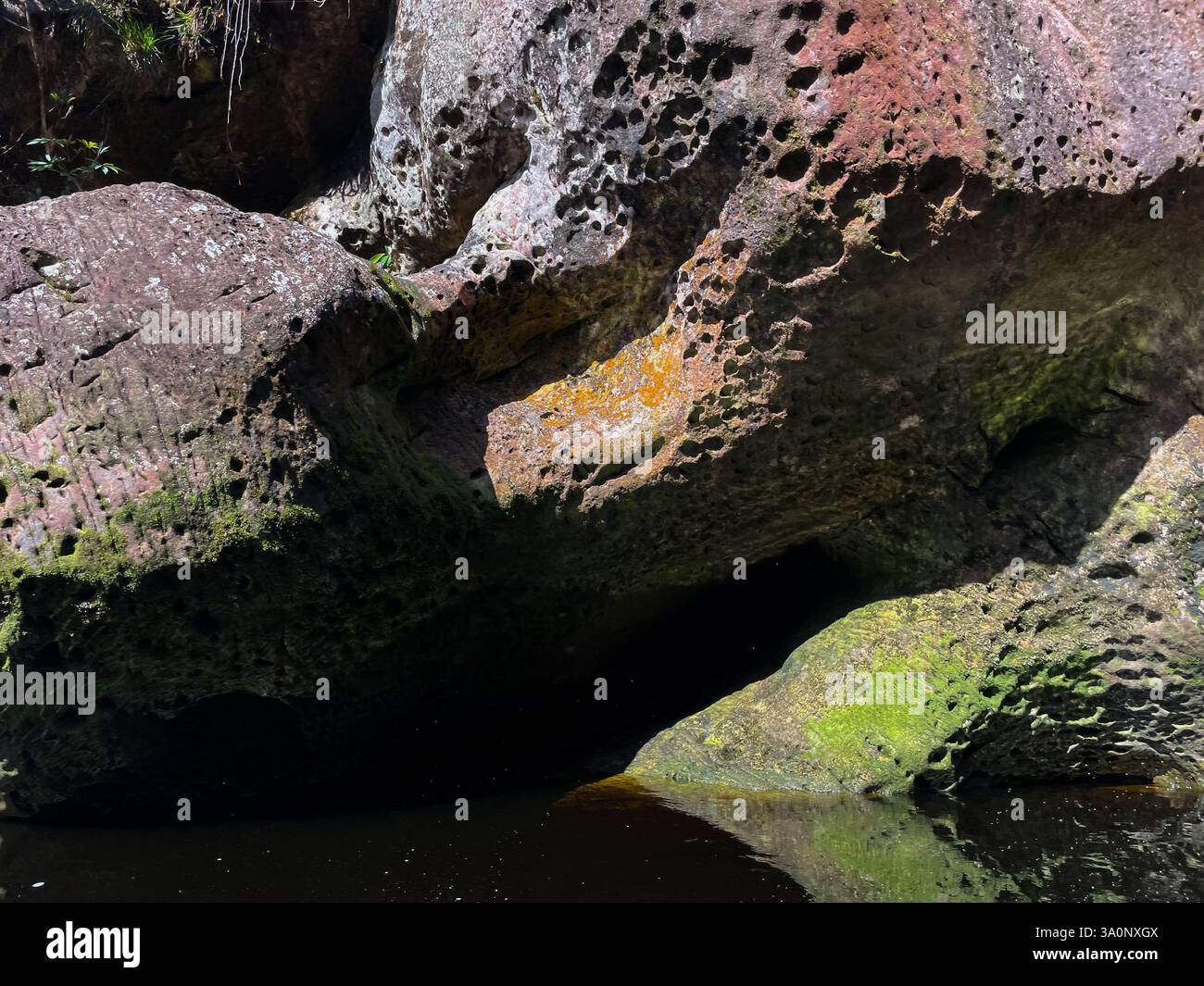 Weathered rock formations with cavities and moss by the water Stock ...