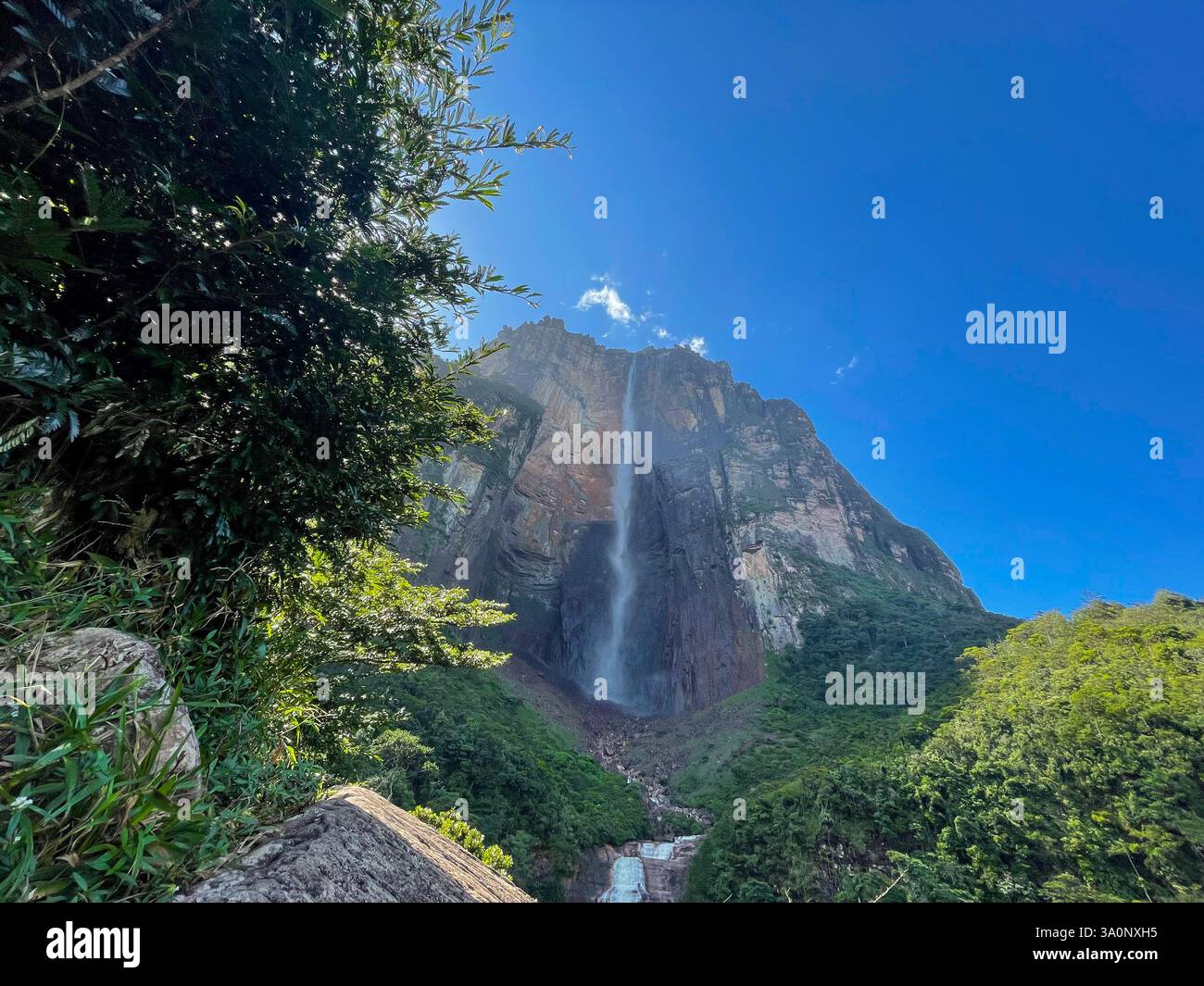 Horizontal Angel's Fall cascades down a lush, Auyantepuy cliffs under ...