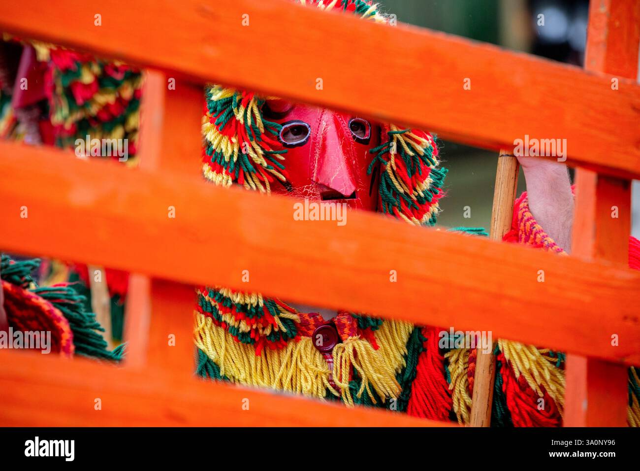 Revelers known as 'Caretos' are pictured performing traditional rituals ...