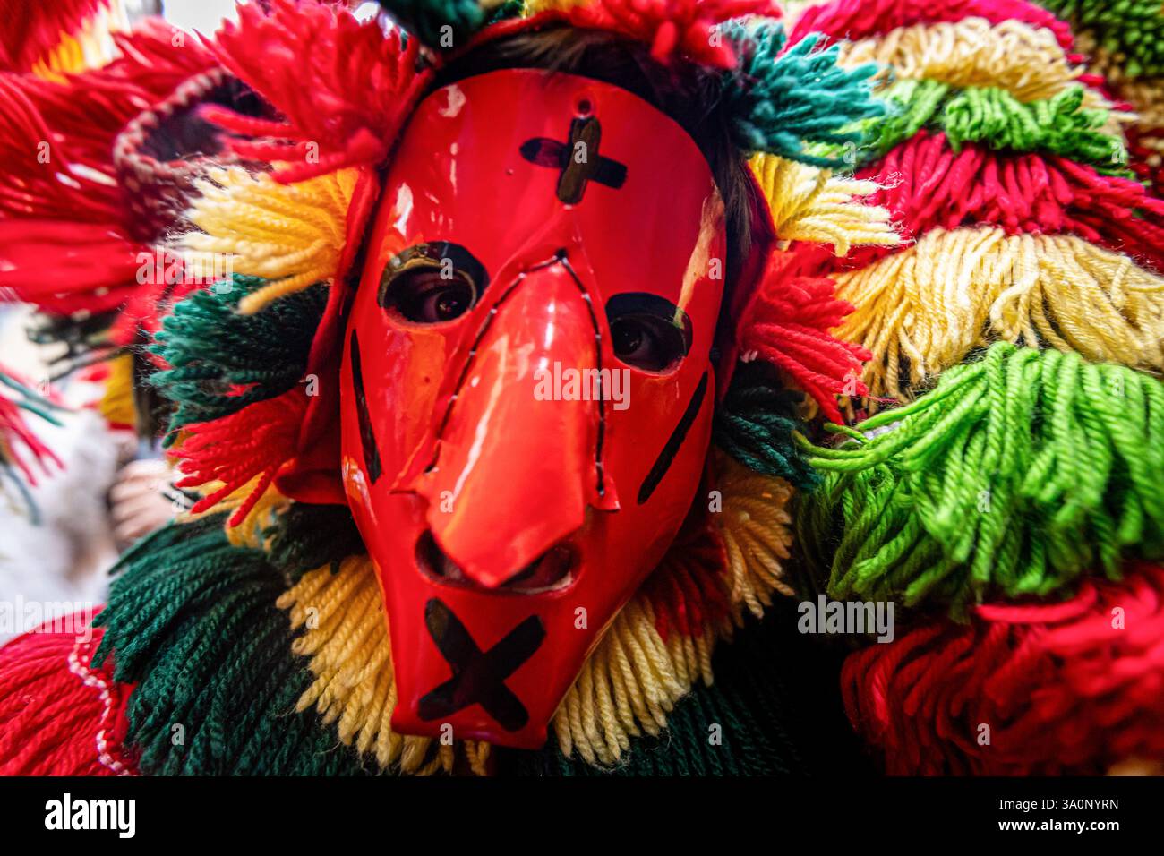 March 2, 2025, Podence, Macedo De Cavaleiros, Portugal: Portrait of young Careto known as ...