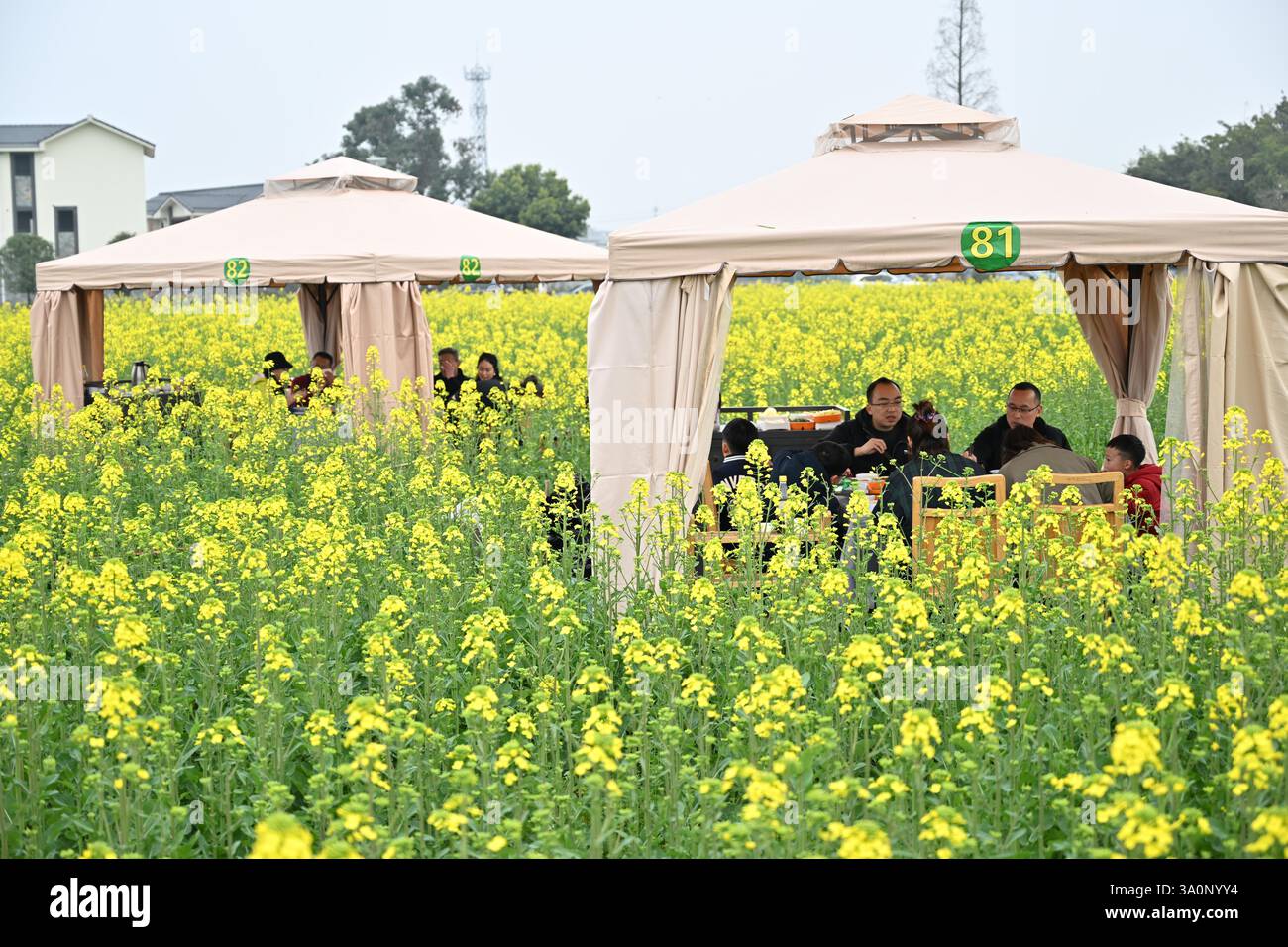 **CHINESE MAINLAND, HONG KONG, MACAU AND TAIWAN OUT** People enjoy ...