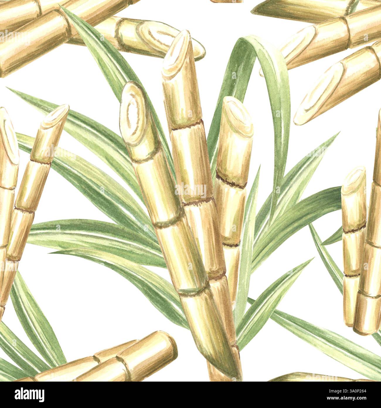 Cut sugar cane stalks with leaves. Bamboo. Seamless pattern of ...
