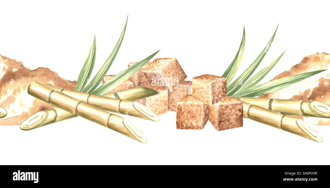 Shugar cane with leaves and brown sugar cubes. Seamless border of ...