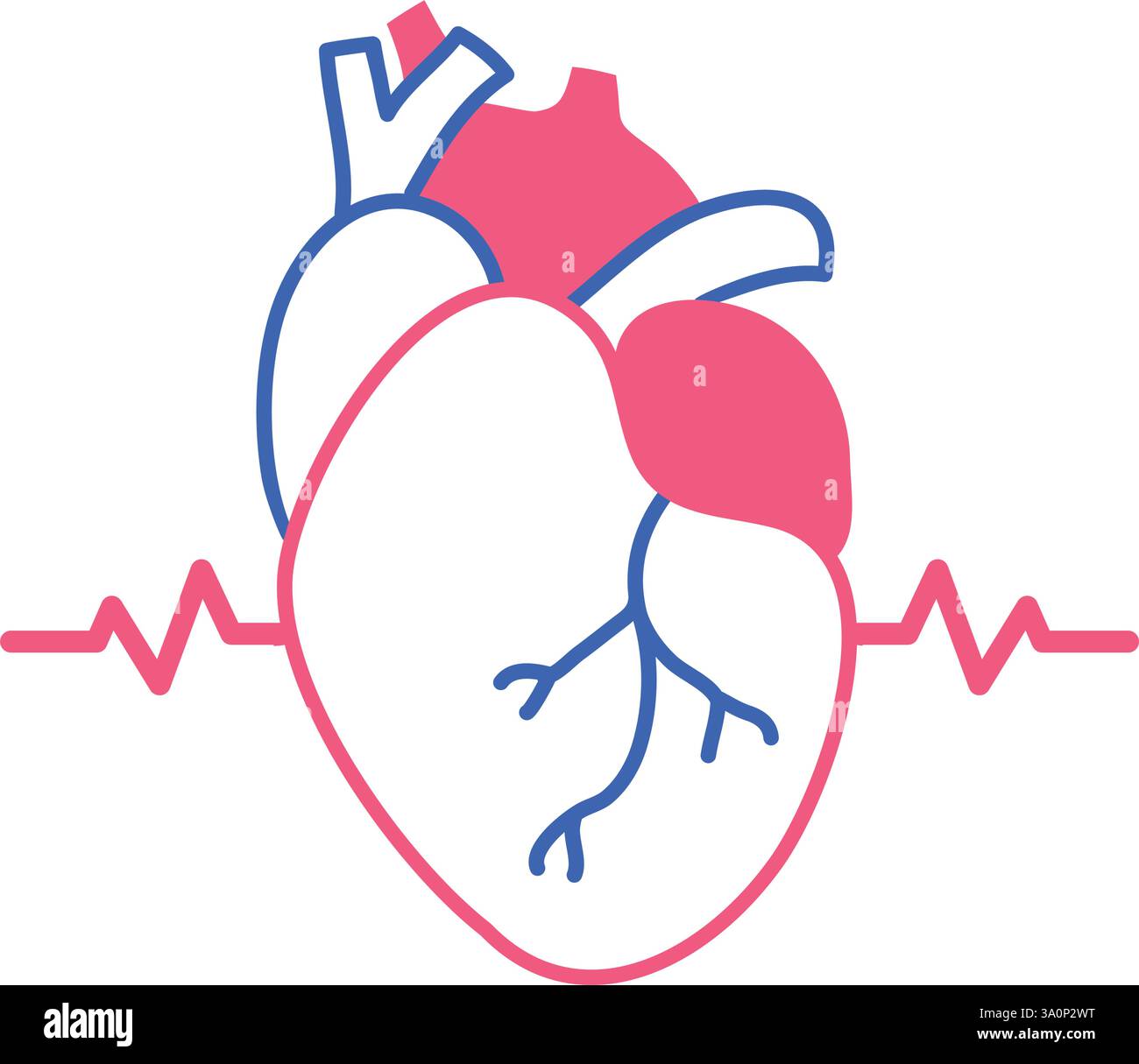 Heart Doctor Diagram Medical Stock Vector Image & Art - Alamy