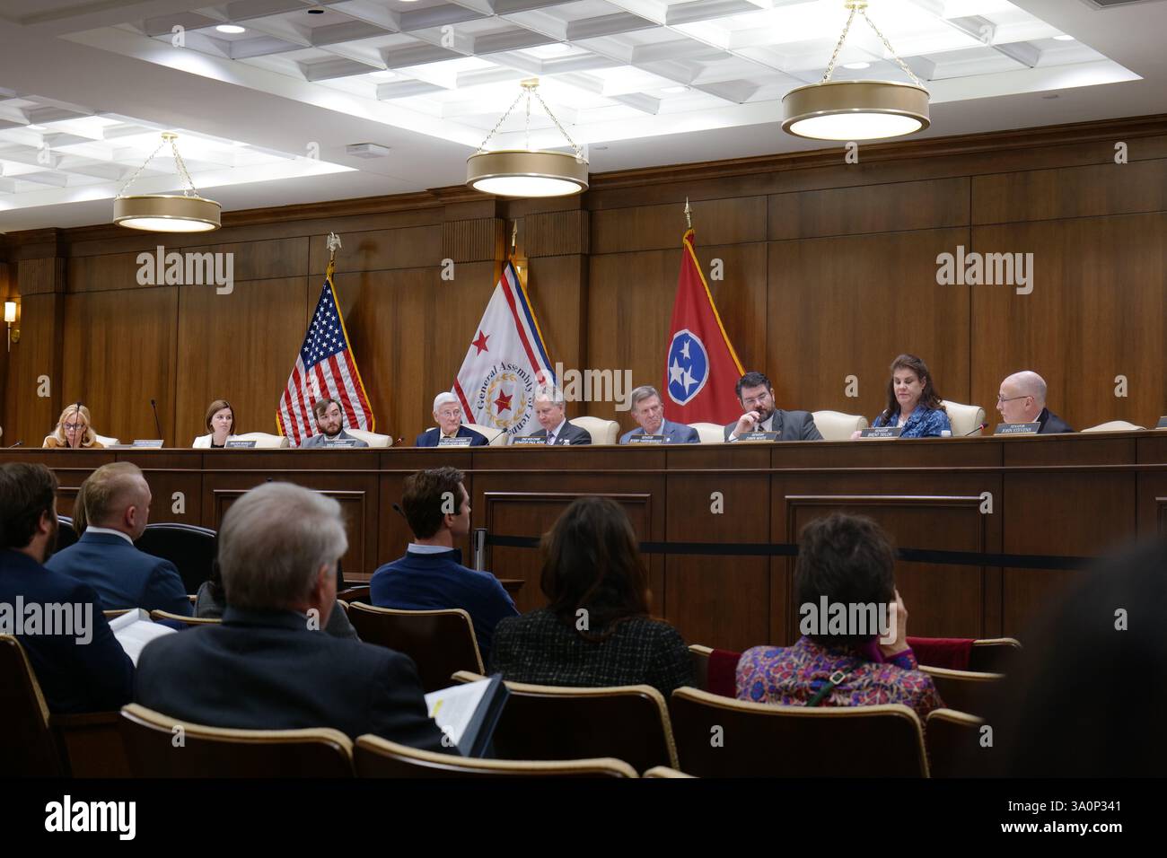 The Tennessee Senate Judiciary Committee meets on March 4, 2025 in the ...