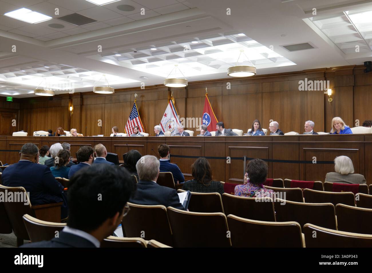 The Tennessee Senate Judiciary Committee meets on March 4, 2025 in the ...